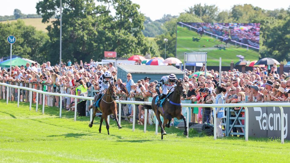 'We'll make the best of where we end up' - Cartmel ready to back ...