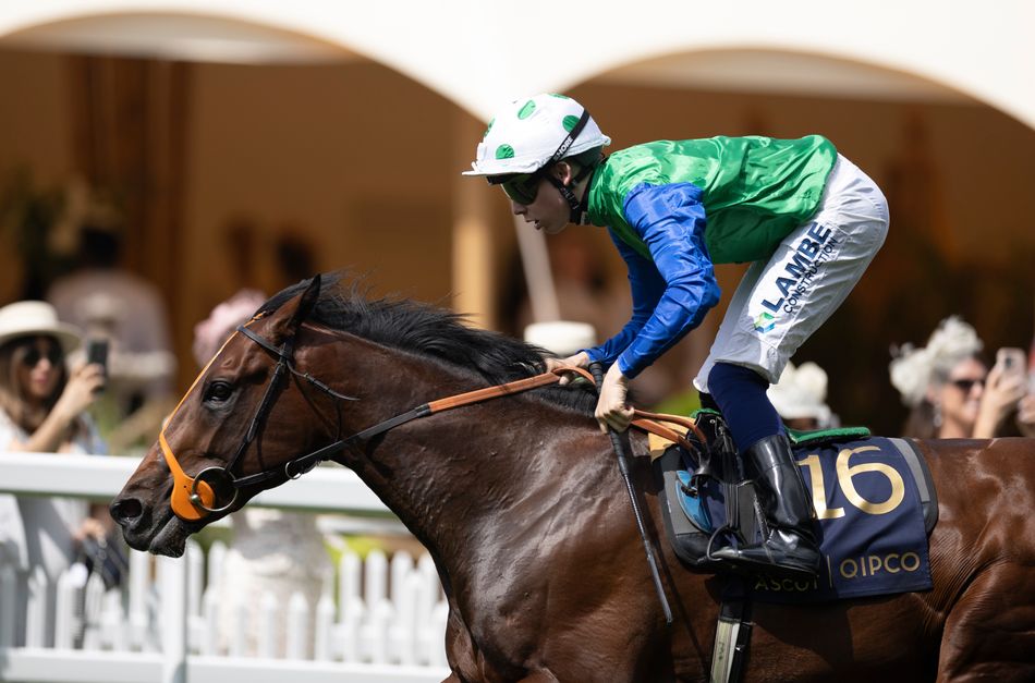 Rashabar and Field Of Gold feature in Greenham entries at Newbury ...