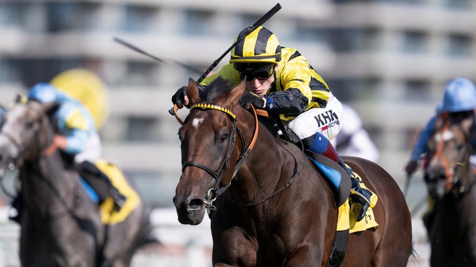 'He should have a very exciting future' - Mill Reef winner Sakheer ...