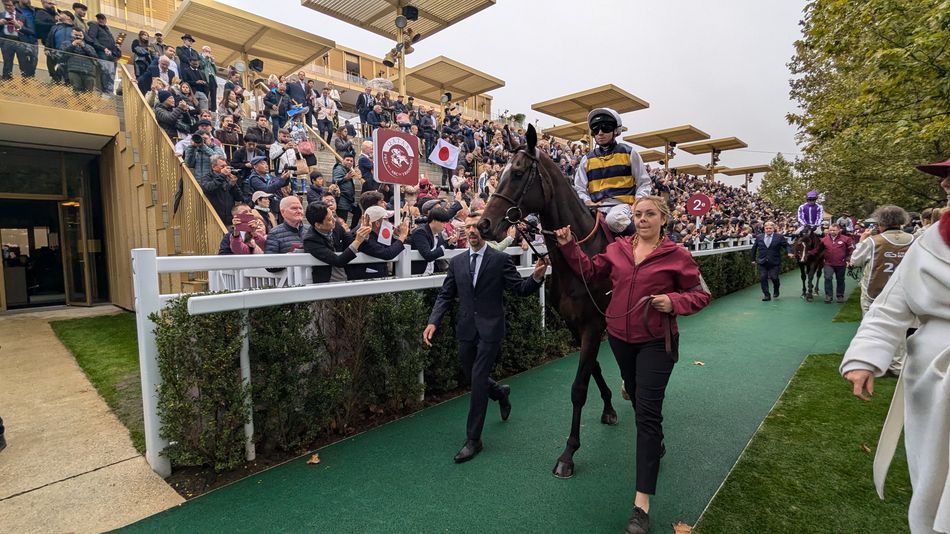 'If we're pleased with him on Sunday he'll go to Ascot' - trainer ...
