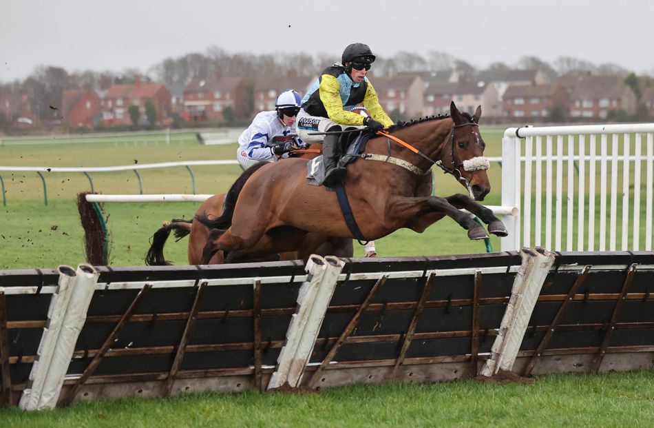 Value buy Ozzy Cosmo kicks off sensational 2,475-1 four-timer for Nick ...