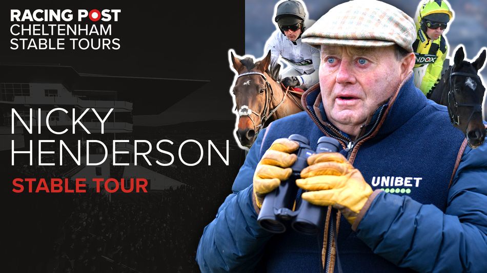 Watch: Nicky Henderson's horse-by-horse guide to the Cheltenham ...
