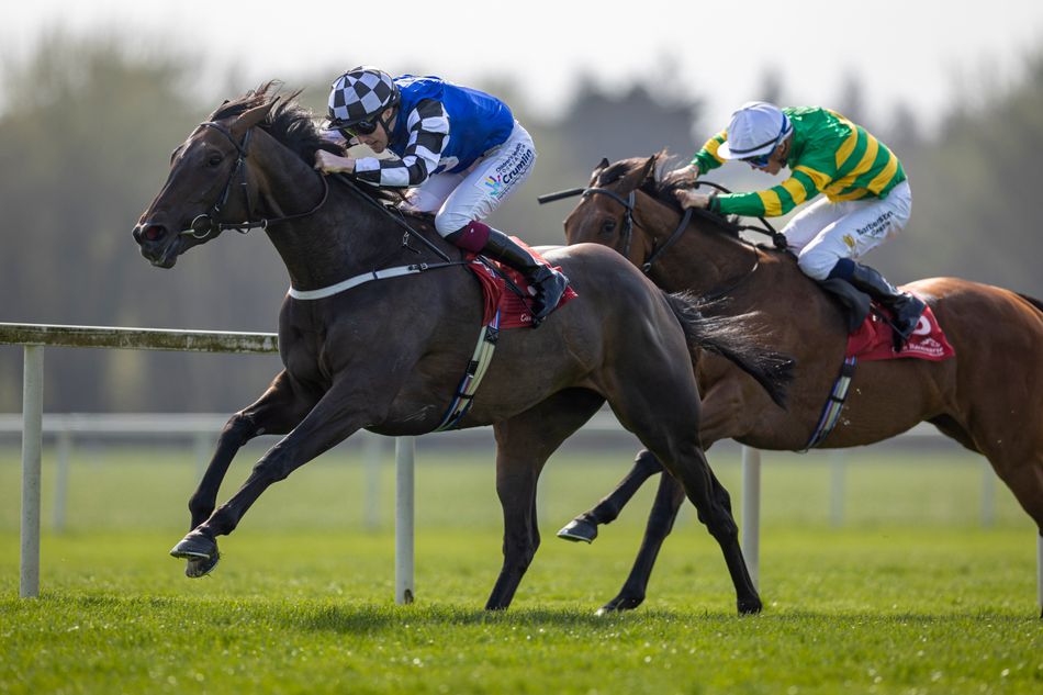 'I'm very hopeful of another big run' - competitive field line up for ...