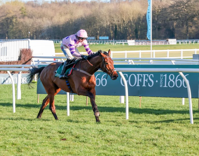 Regent's Stroll: what do we know about the record-breaking £660,000 buy ...