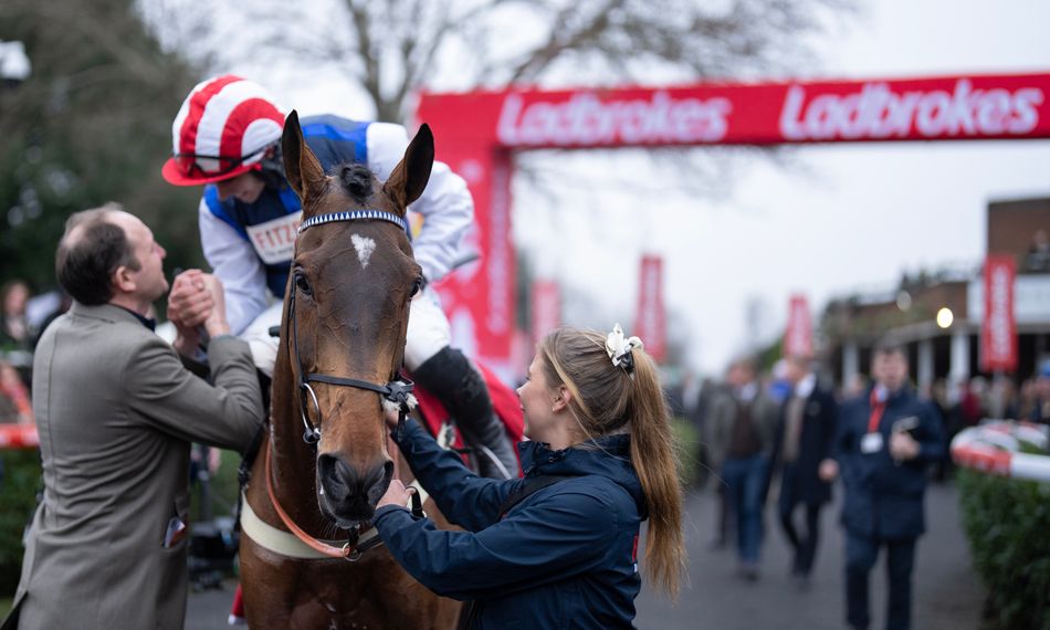 Huge blow for Ben Pauling and Harry Redknapp as leading Cheltenham ...