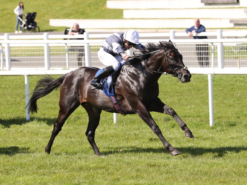 'I always thought he was a proper horse' - Donnacha O'Brien full of ...