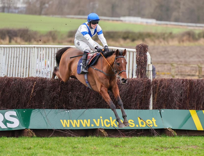 Hauraki Gulf strikes on chasing debut to provide Deborah Cole with ...