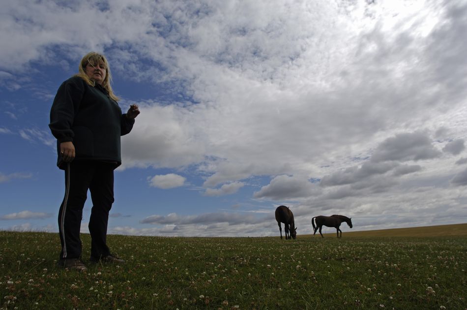 Founder and head of racehorse retraining and rehoming charity Heros ...