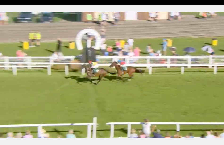 Shock at Ripon as 1-25 shot Doom becomes British racing's shortest ...