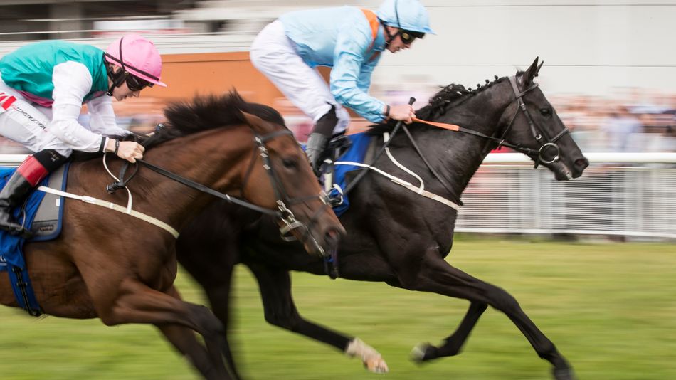 'I believe he is a very important stallion' - Marie's Diamond retired ...