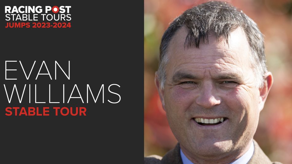 'There's still plenty of room off his mark and he can win a decent race ...