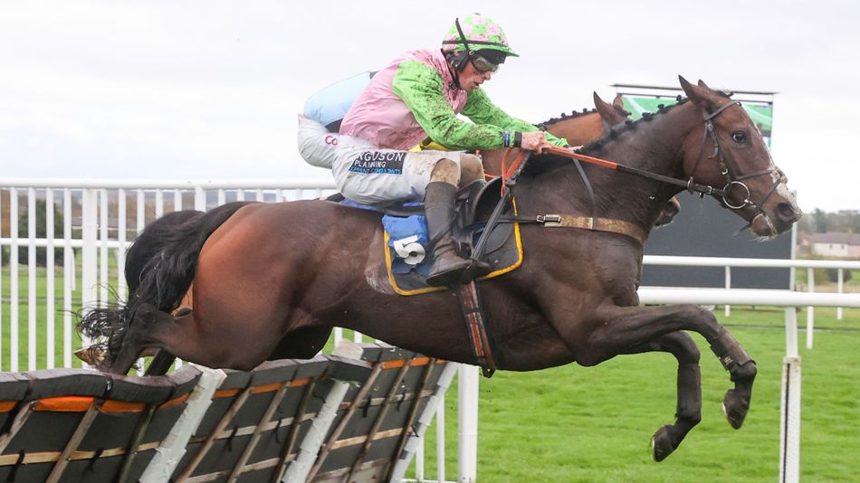 'We're looking forward to a big run' - Patrick Neville eyes US Grade 1 ...