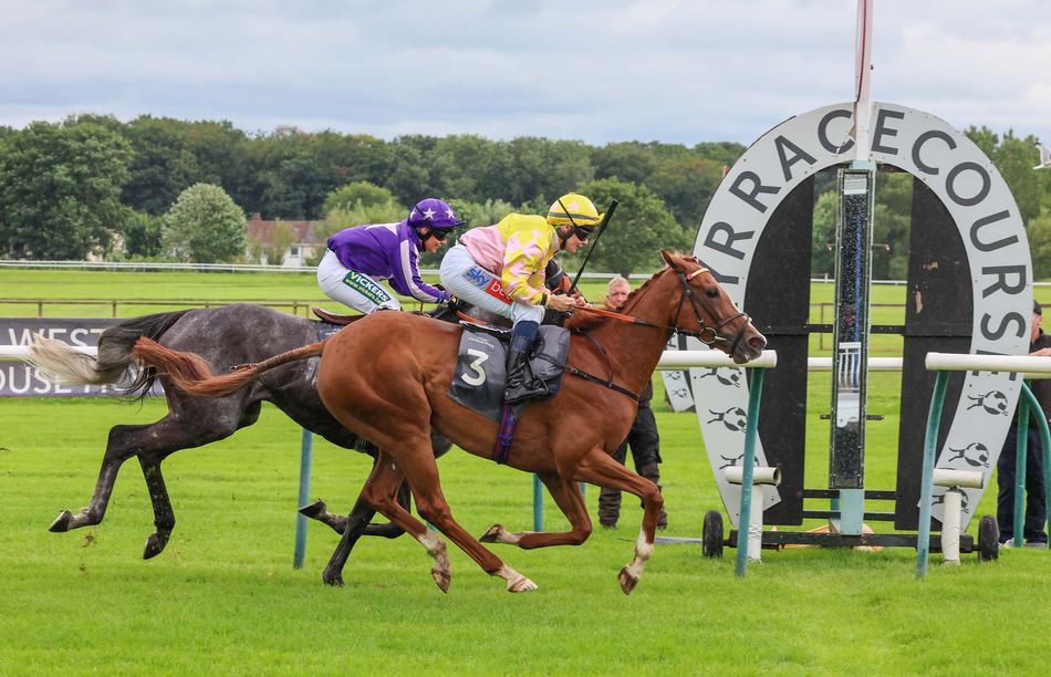 Racing syndicate closes in on century of winners weeks after surpassing ...