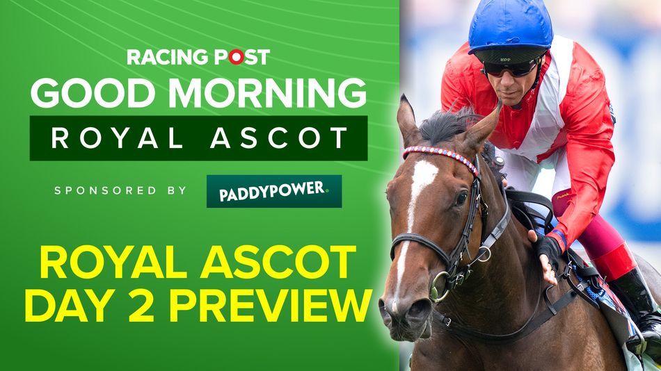 Watch: live Royal Ascot day two preview show with David Jennings ...