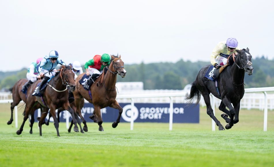 Furthur slashed to 14-1 for St Leger after commanding Geoffrey Freer ...