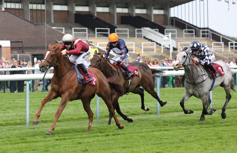 'When the gap opened she took it well' - Get Ahead the highlight of ...