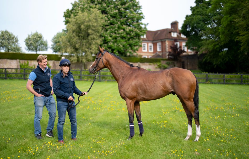 Ed Walker: 'It was the most intense attention I'd experienced - now I ...