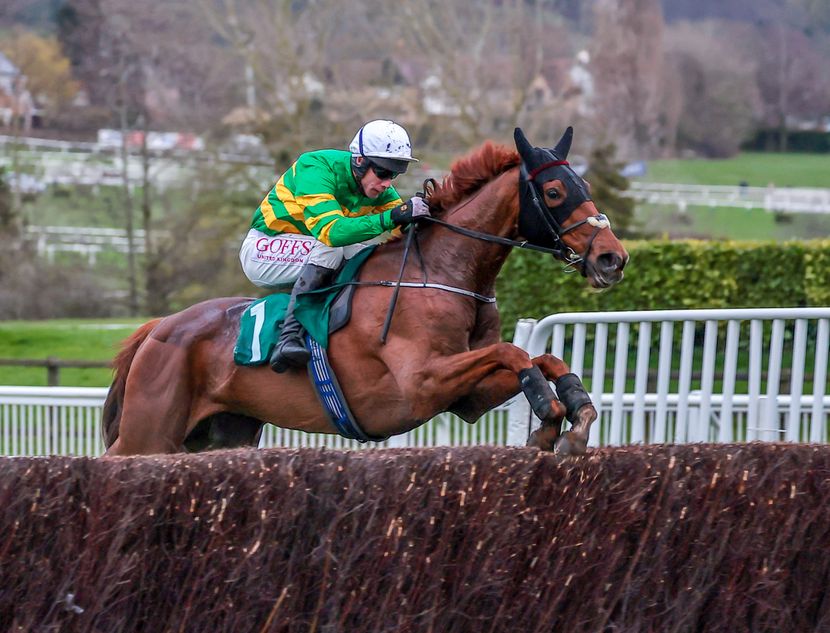 Bookmaker calls for National Hunt Chase to be axed as Cheltenham’s ...