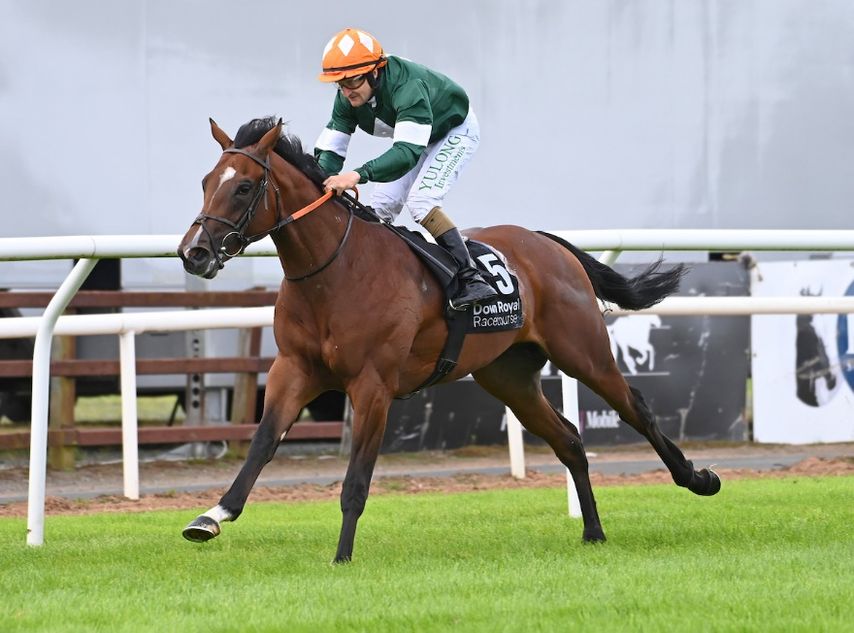 Down Royal maiden winner Wizard Of Odds sells to BBA Ireland for £ ...