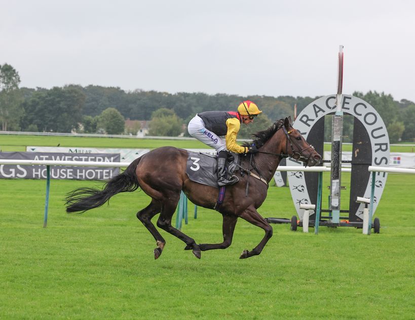 'She's a smart filly and I'm hoping she's classy enough' - key quotes ...