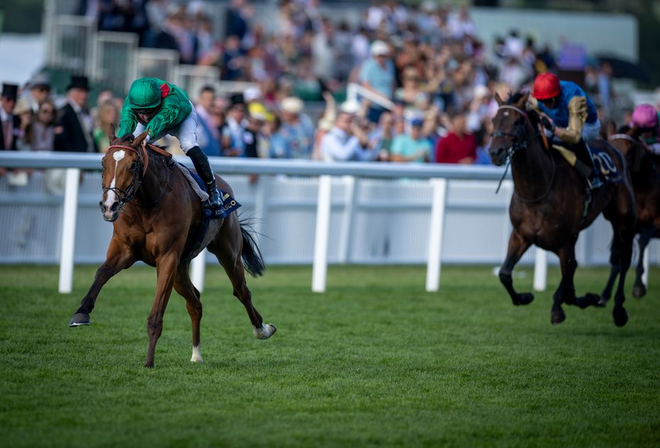 French raider Calandagan back in Britain for Friday's Coronation Cup ...