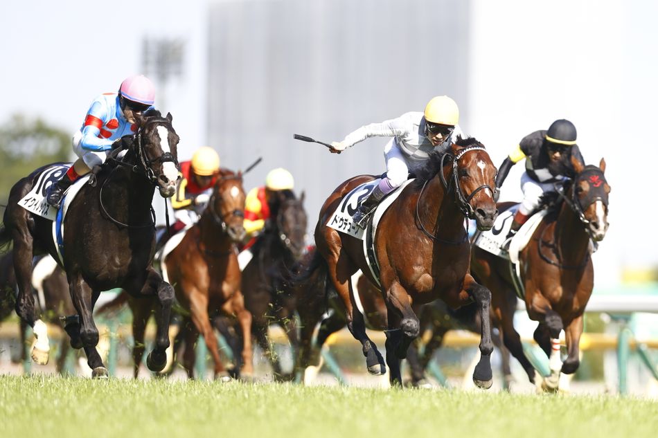 Last year's Japanese Derby hero Do Deuce returns to winning ways ahead ...