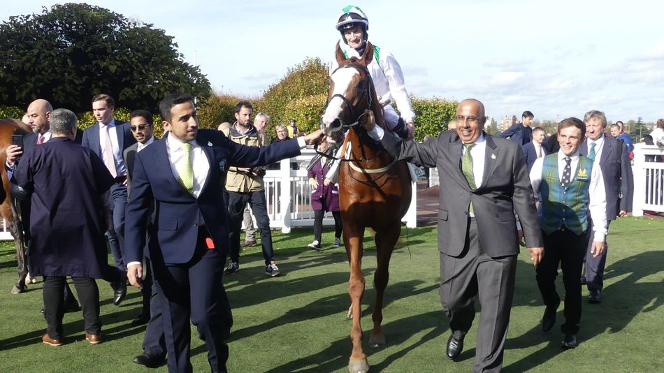 'We're very much looking forward to his career' - Manton Park Stud reveals 2024 fees and roster ...