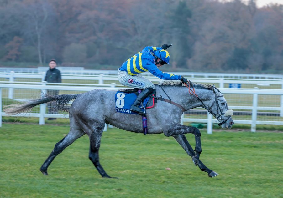 Coral Cup hope Kandoo Kid heads powerful Paul Nicholls squad for ...