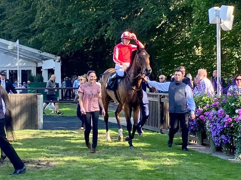 'It's difficult to know how good he could be' - Isle Of Jura continues ...