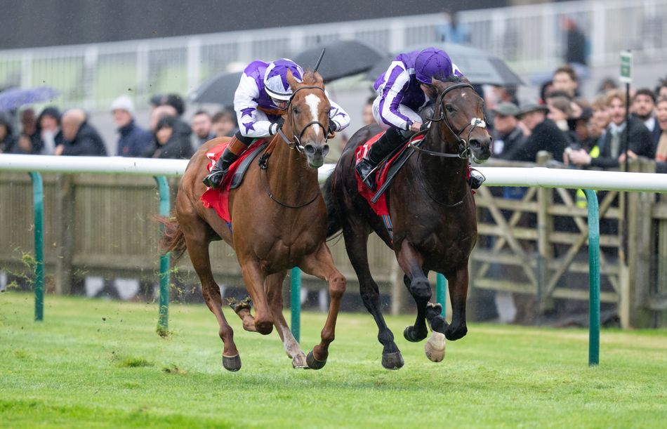 'We never got to see the real him' - Derby fifth Stanhope Gardens dies ...