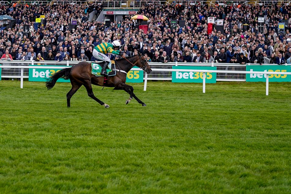 Jonbon dominates Celebration Chase to maintain perfect record at ...