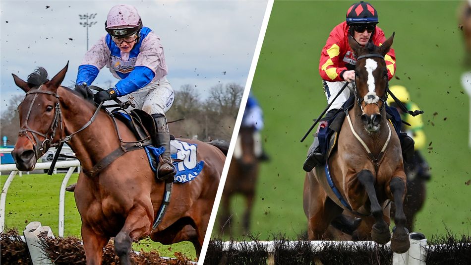 'We think he's got a great chance' - the lowdown for the opening race ...