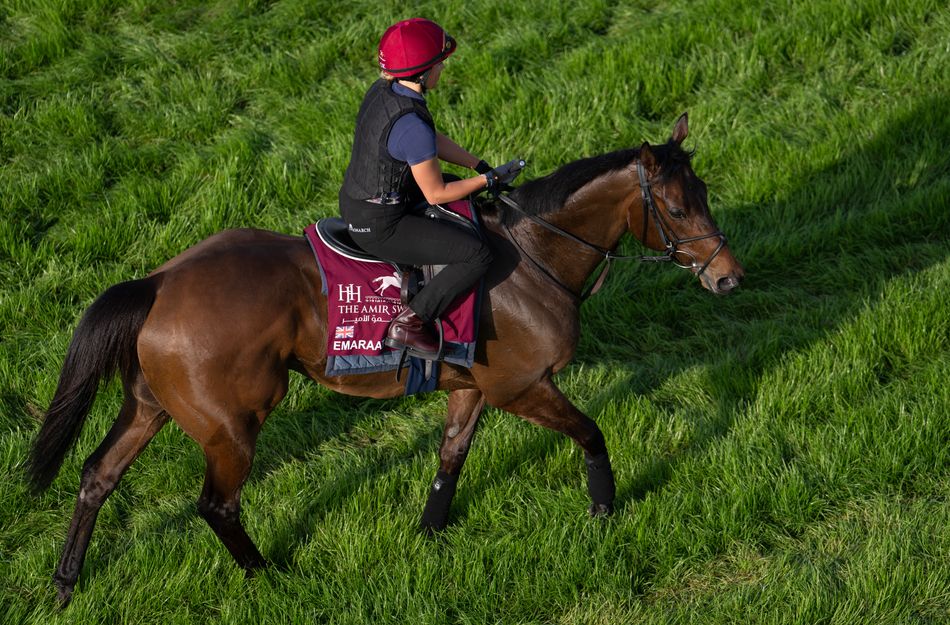 'It’s something we do with horses of this quality' - Jamie Osborne ...