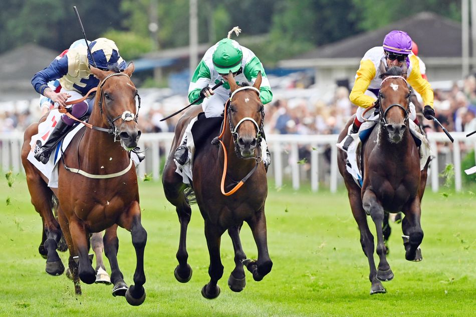 'I expect him to go very well' - Karl Burke set to field Constitution ...