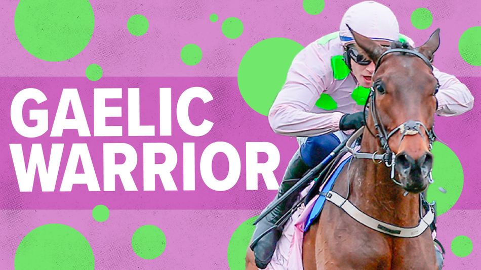Arkle star Gaelic Warrior finally gets the chance to show he is a major ...