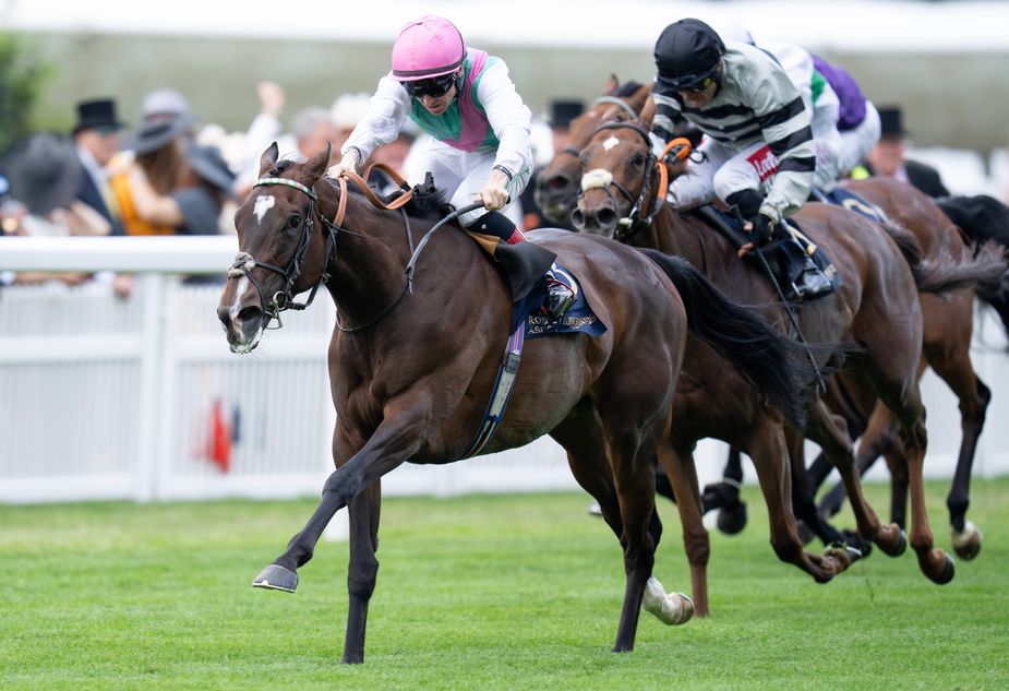 'She's a star' - Blue Bolt wins Duke of Cambridge for Andrew Balding ...