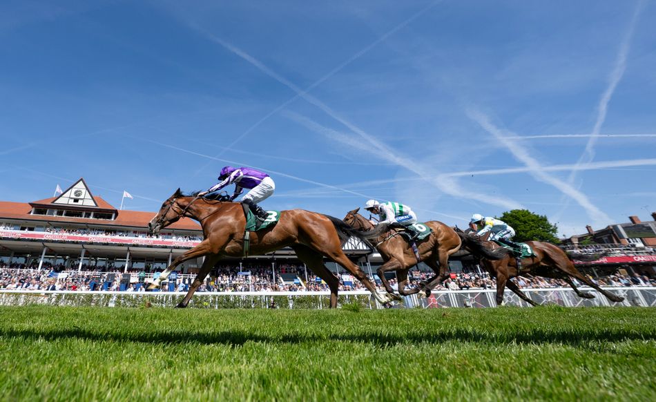 Epsom results cheered in Chester as track gets welcome fillip after ...