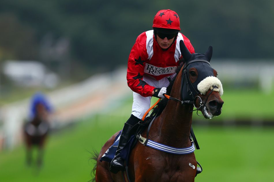 'I wasn't expecting that at all' - Soul Icon shocks trainer Keiran ...