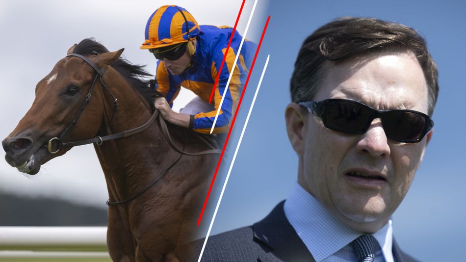 'His work at home has been lovely' - leading Derby fancy Henry ...