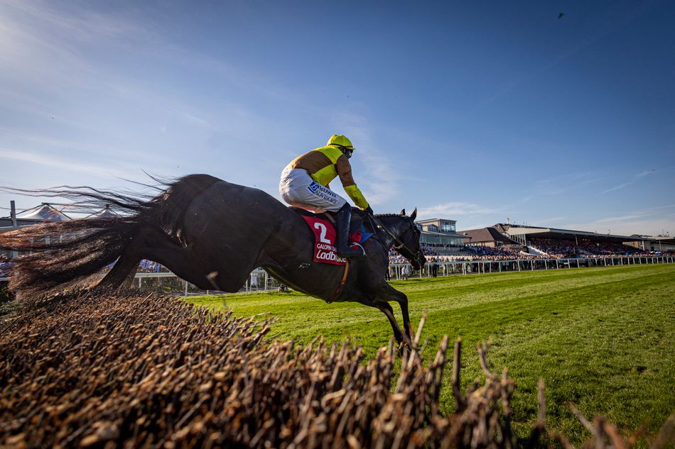 Dual Gold Cup winner Galopin Des Champs could miss John Durkan ...