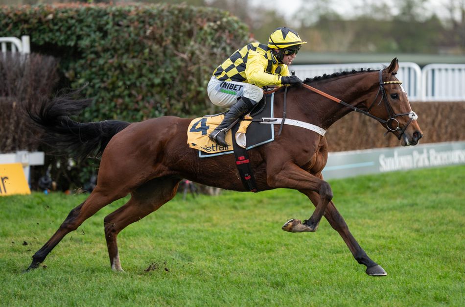 Lulamba to have one run between now and the Arkle as Nicky Henderson ...