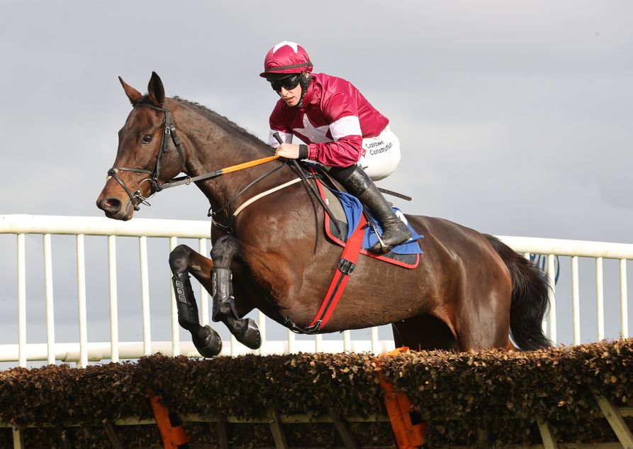 Star mare Brighterdaysahead set to stay over hurdles as Champion Hurdle ...