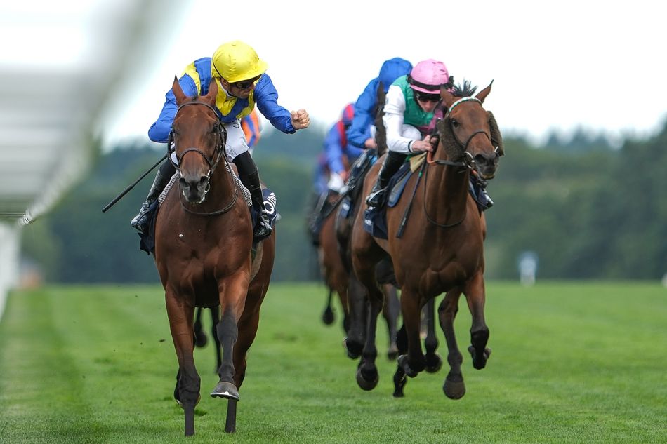 'He was compromised by the tactics and overly strong gallop' - expert ...