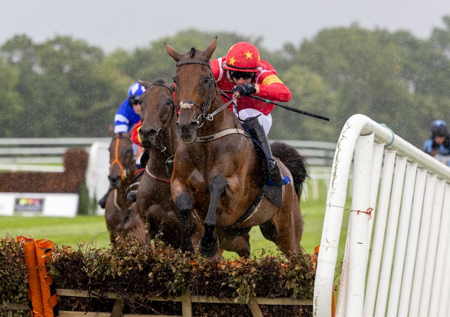 'He looks thrown in off his hurdle mark' - who fancies his chances in ...