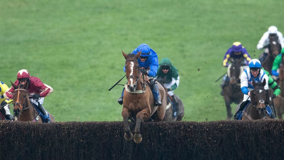 Shocking number of Grand National entries brings shame on British ...