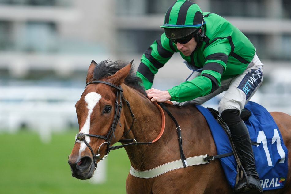 The Gerry Feilden has been won by Buck House, Barnbrook Again and ...