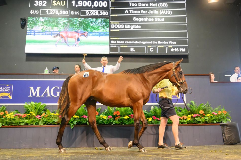 'He’s a great physical type' - A$1.9 million Too Darn Hot colt lights ...