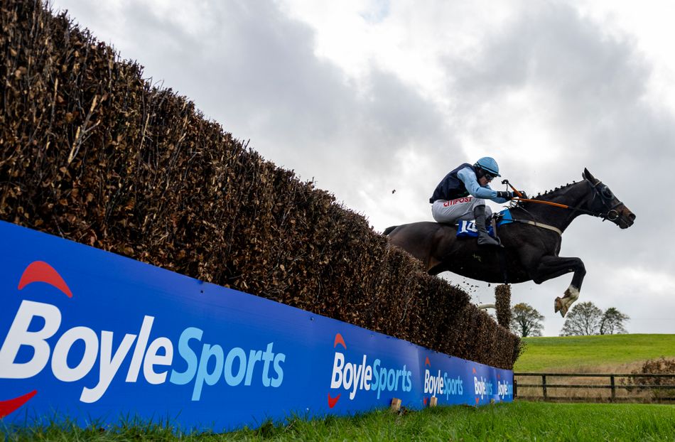 'It's magical' - Eric McNamara continues red-hot form as Danny Mullins ...