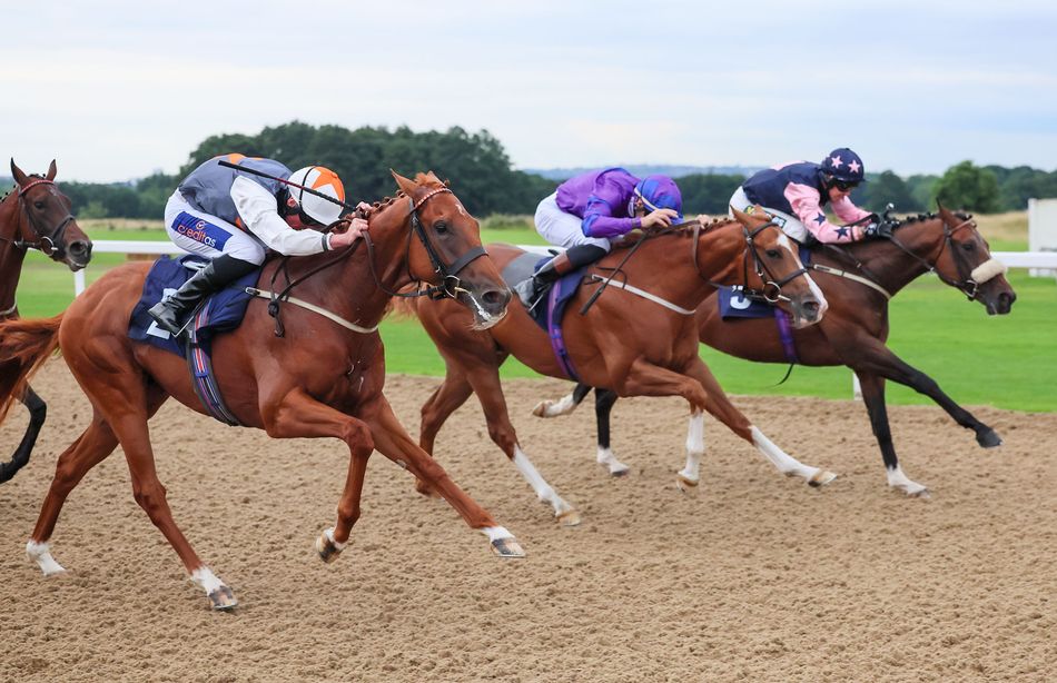 'The bone was poking up in the skin' - Harrison Shaw set for another ...